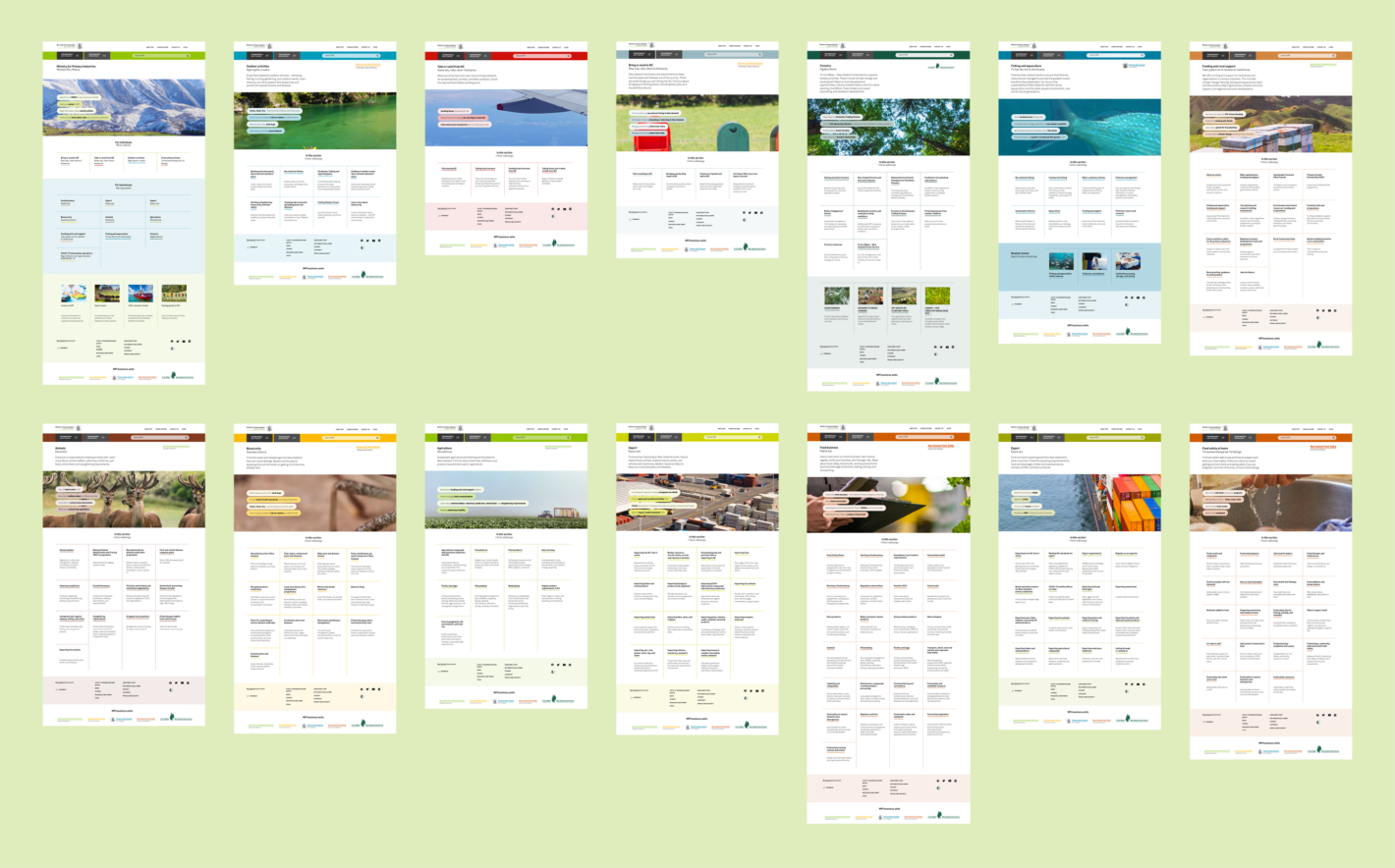 Design Studio Wellington NZ | Gusto. Website visual redesign